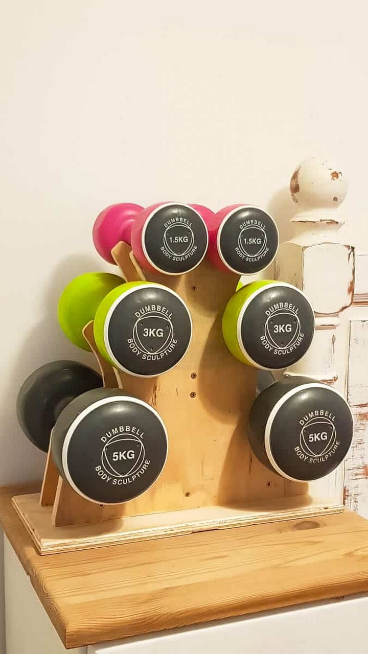 15 DIY Dumbbell Rack Projects For Weight Lifting - All Sands