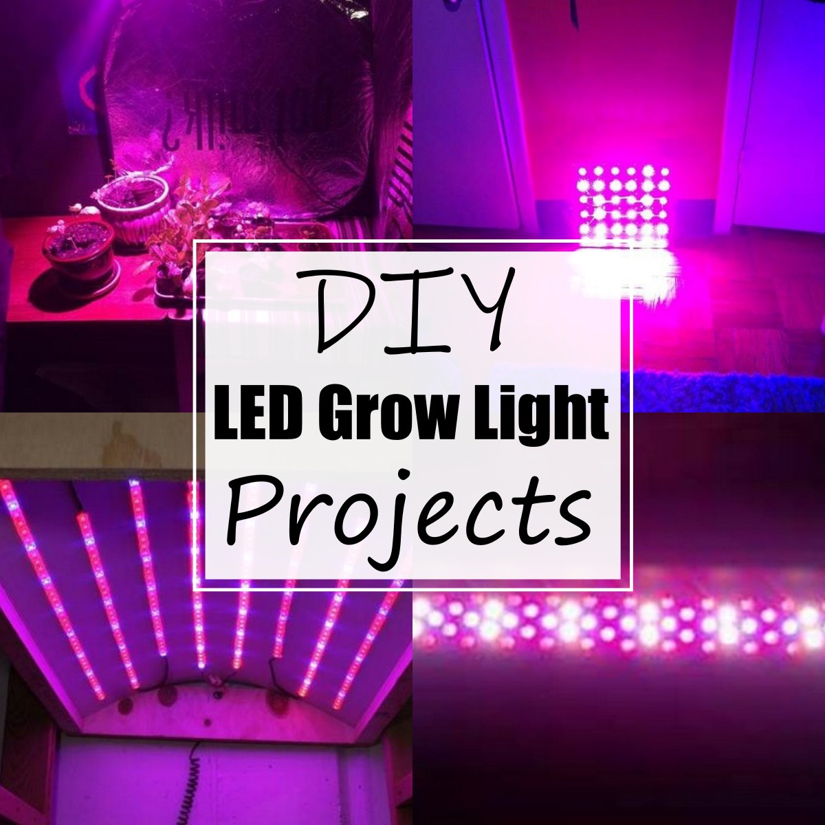 14 DIY LED Grow Light Projects For Planting Enthusiasts - All Sands