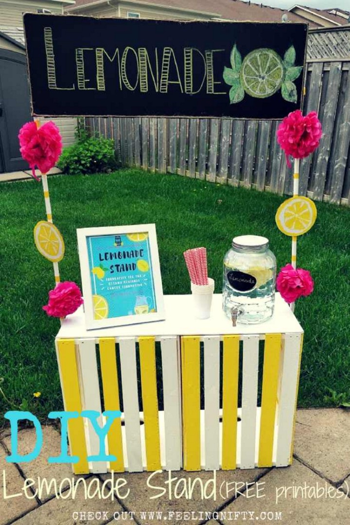 24 DIY Lemonade Stand Ideas For Picnic - All Sands