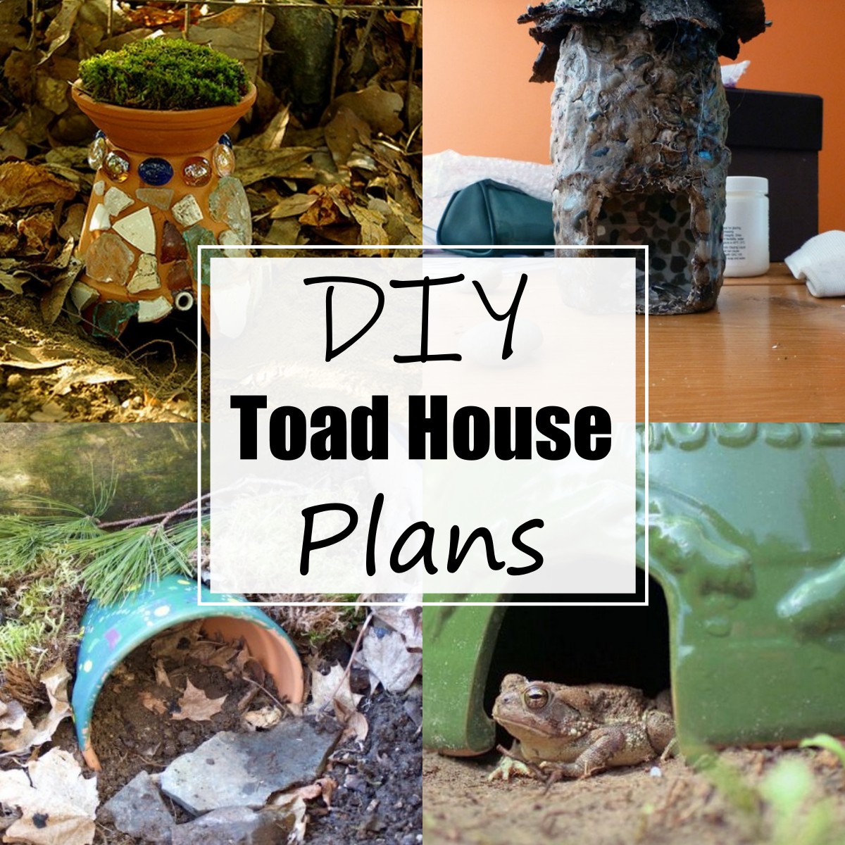 14 DIY Toad House Plans For Home Decoration - All Sands