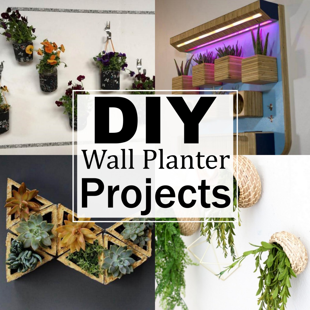 26 Unique DIY Wall Planter Projects For Indoor & Outdoor - All Sands