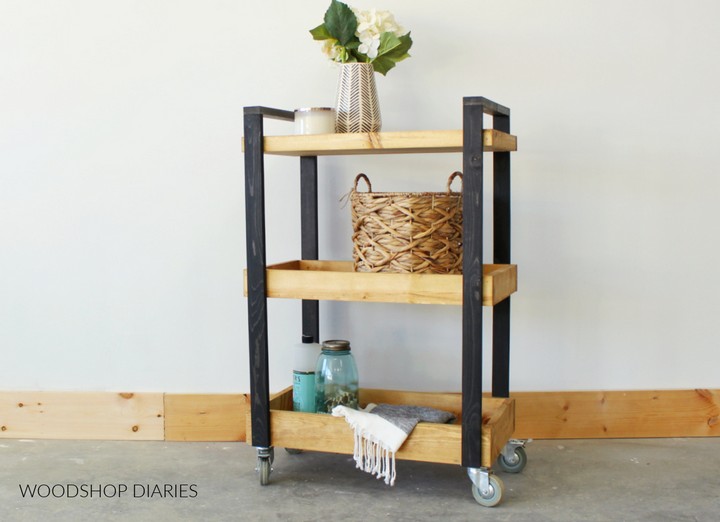 20 DIY Storage Cart Plans For Your Home - All Sands