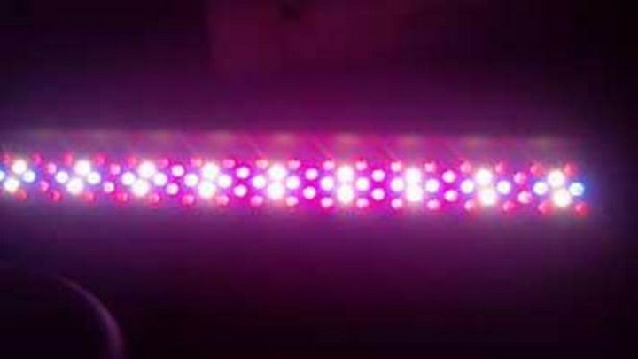 14 DIY LED Grow Light Projects For Planting Enthusiasts - All Sands