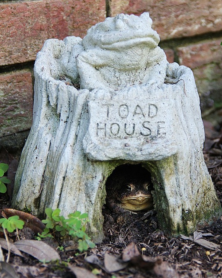 14 DIY Toad House Plans For Home Decoration - All Sands