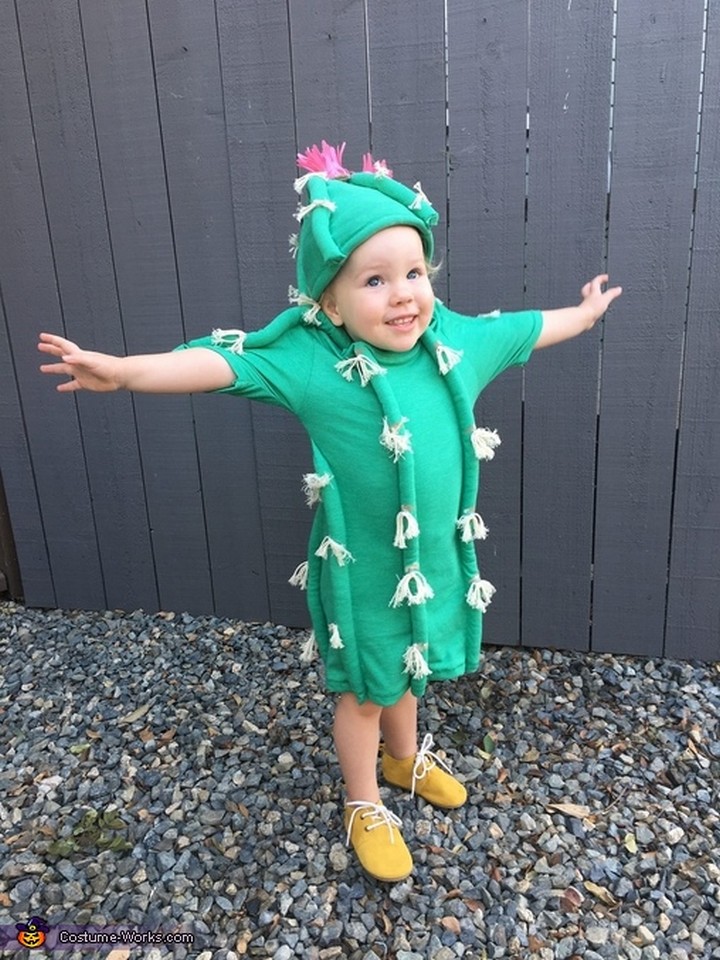 15 DIY Cactus Costume Ideas For Holiday Season - All Sands