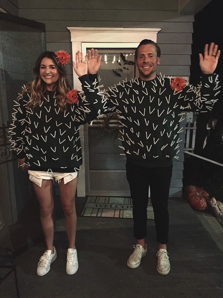 15 DIY Cactus Costume Ideas For Holiday Season - All Sands