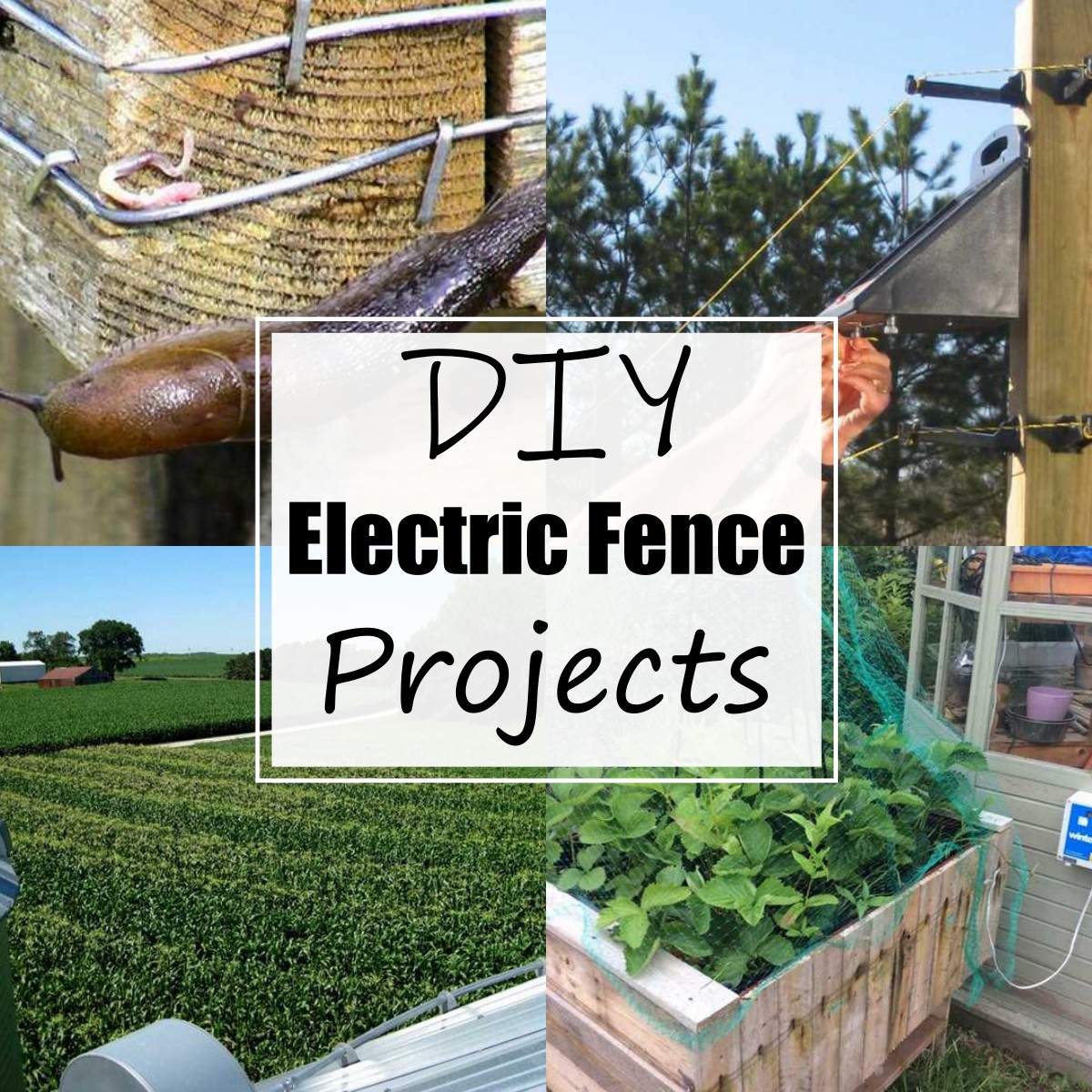 14 DIY Electric Fence Projects done - All Sands