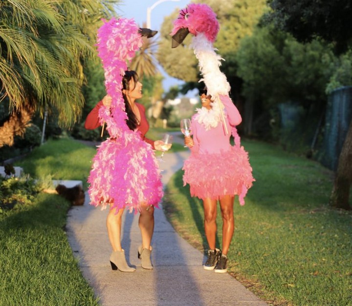 16 Creative DIY Flamingo Costume Ideas For Holiday Season - All Sands