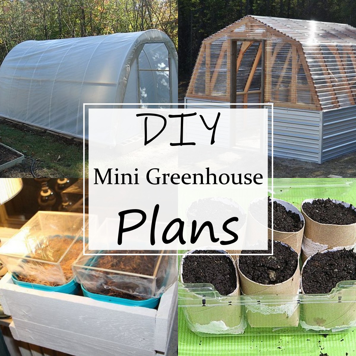 25 DIY Mini Greenhouse Plans For Farming Expert - All Sands