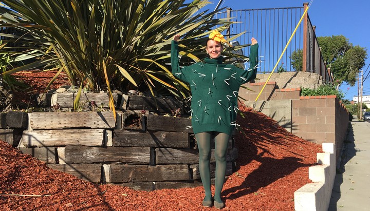 15 DIY Cactus Costume Ideas For Holiday Season - All Sands