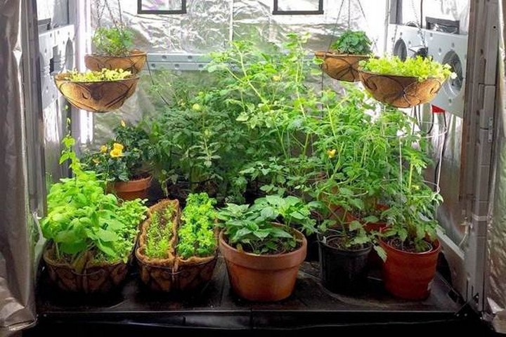 9 DIY Grow Tent Ideas For Home Garden - All Sands