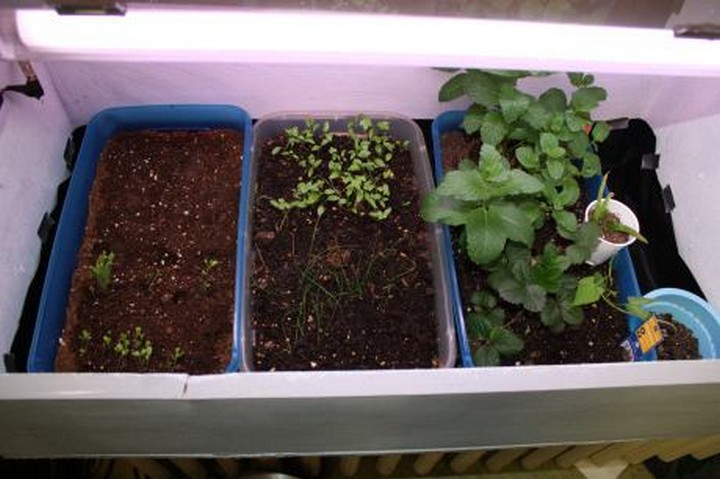 20 DIY Grow Box Ideas For Seedlings - All Sands