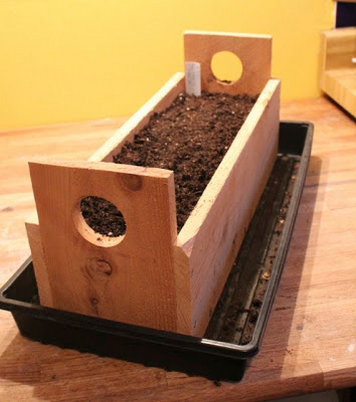 20 DIY Grow Box Ideas For Seedlings - All Sands